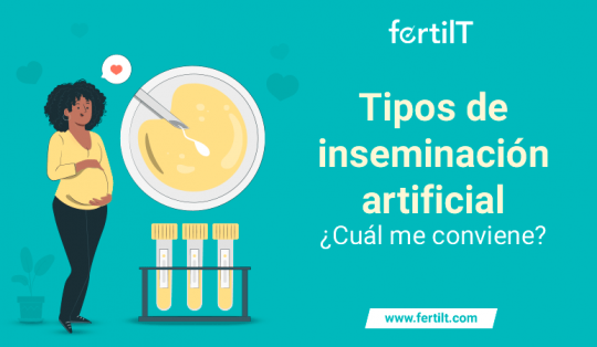 ¿Cuántos tipos de inseminación artificial existen? ¿Cuál conviene?