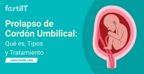 Prolapso de Cordón Umbilical » Qué es, Tipos y Tratamiento